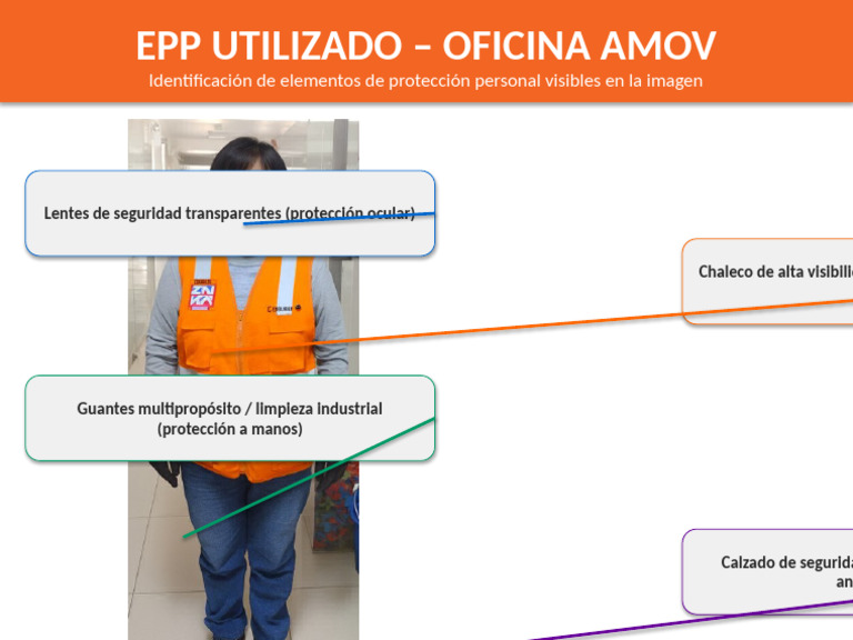 Flyer EPP AMOV Editable | PDF