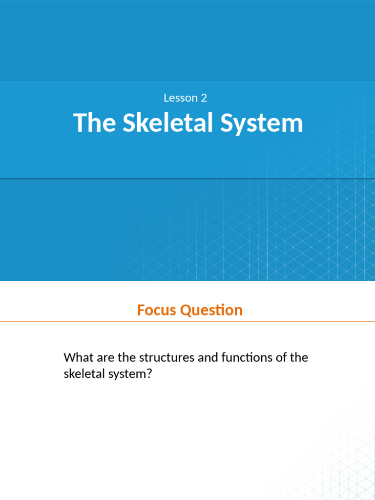 CA Lesson 2 The Skeletal System | PDF | Bone | Skeleton