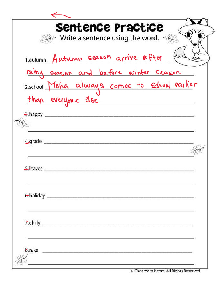 Sentence Practice | PDF