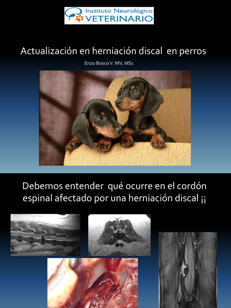 Hernia Discal 2023 | PDF | Enfermedades y trastornos | Anatomía humana