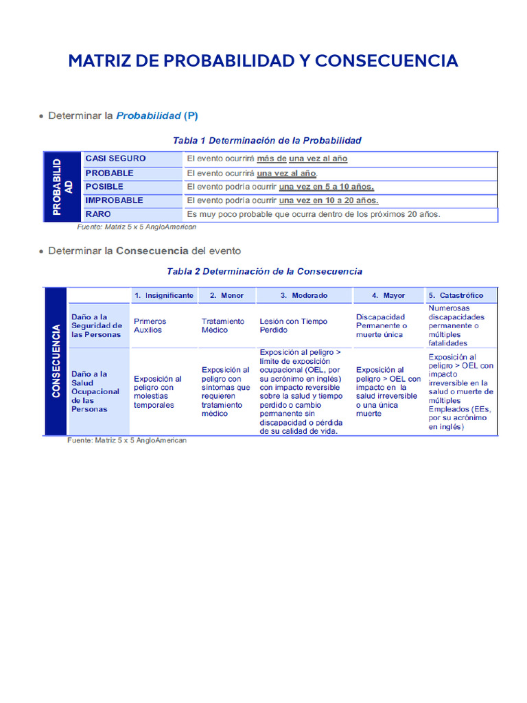 Matriz de Probablidad y Consecuencia | PDF
