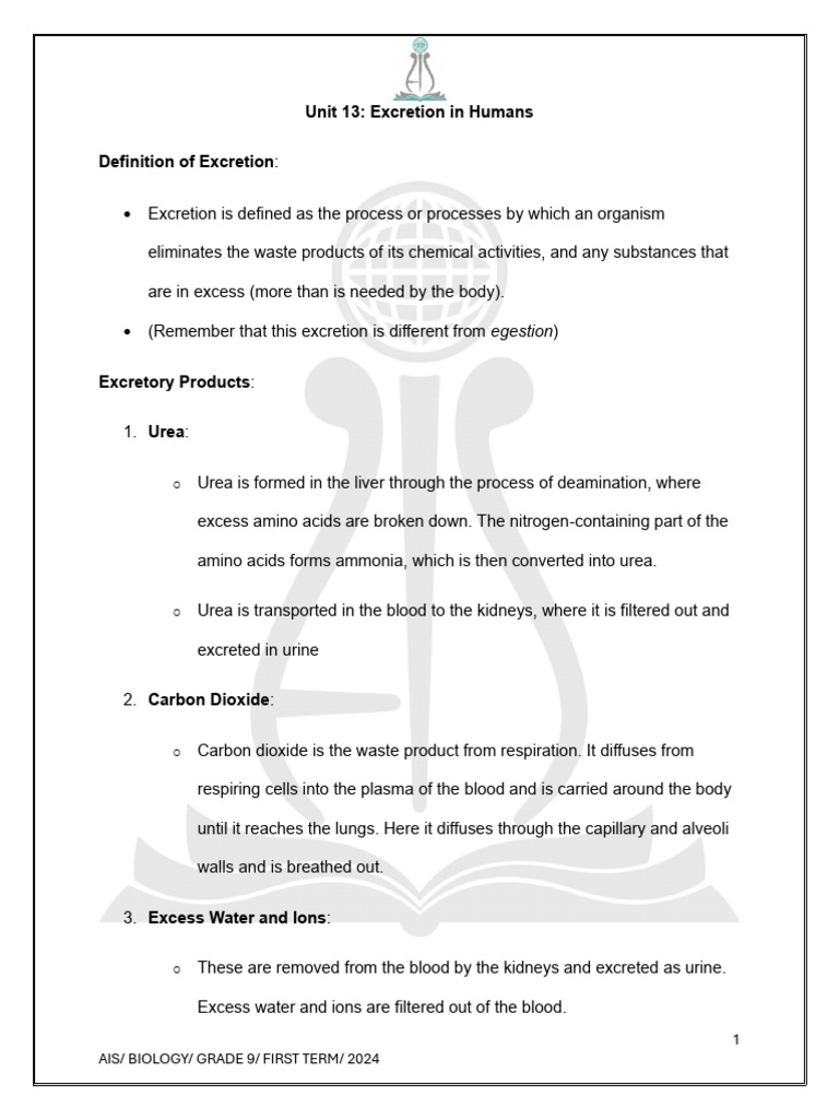 Human Excretion: Grade 9 Biology Guide | PDF | Kidney | Abdomen