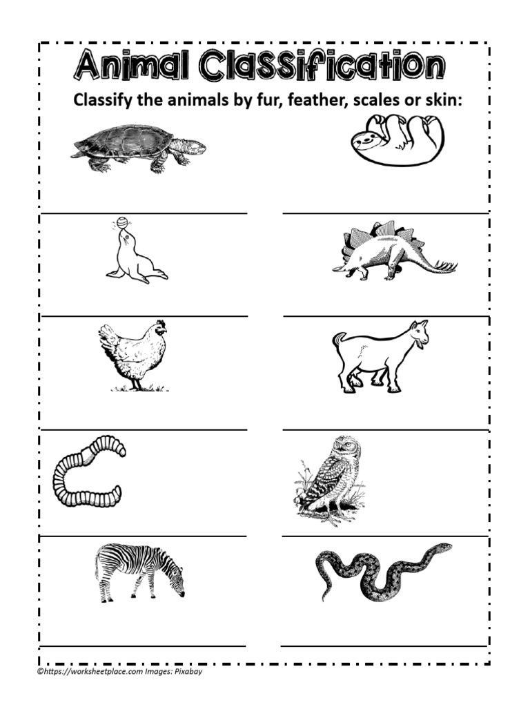Classify The Animals | PDF