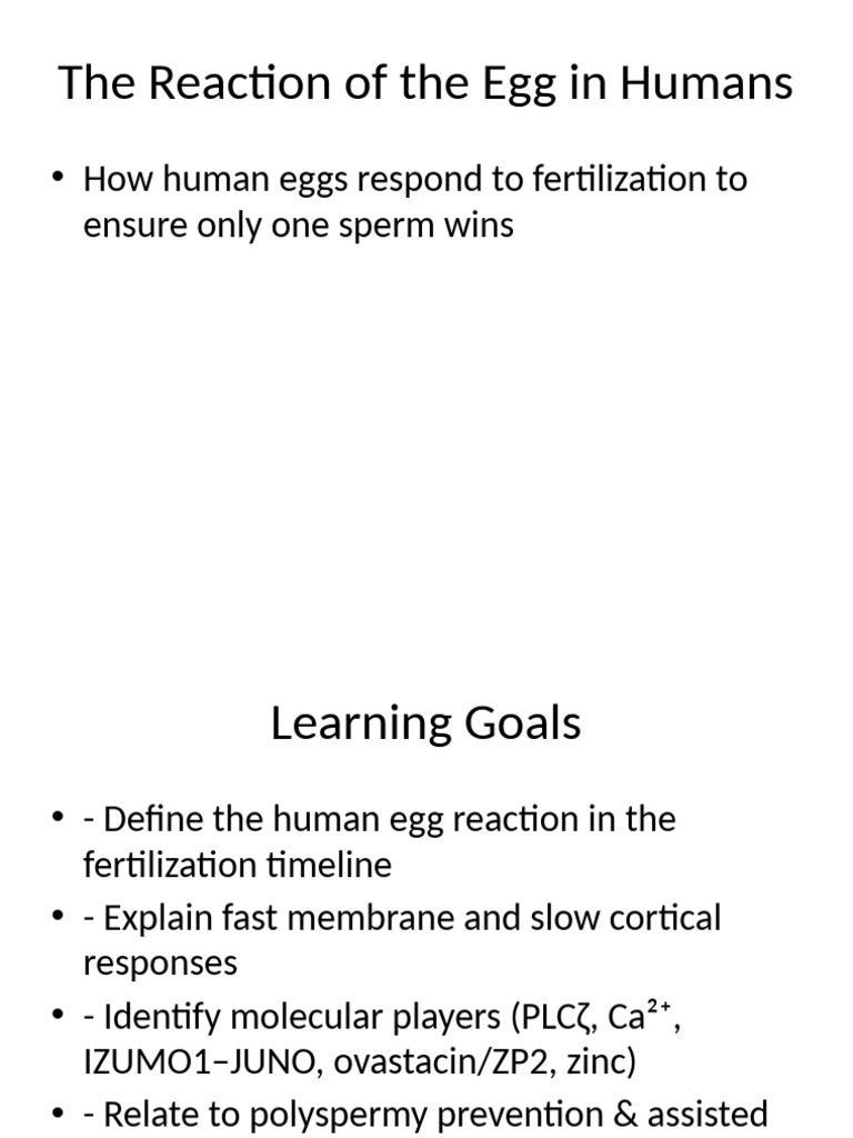 Reaction of The Human Egg | PDF | Reproduction | Biology