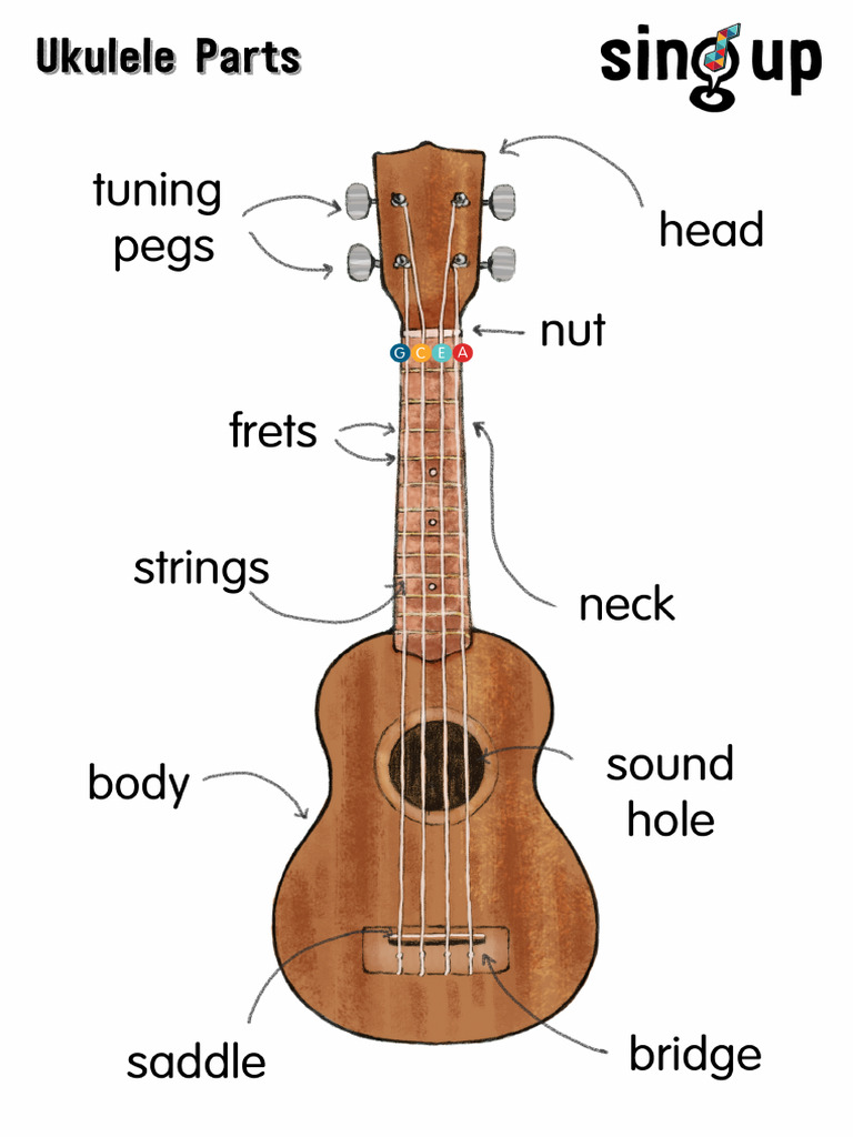 Ukulele Poster Parts of The Instrument | PDF