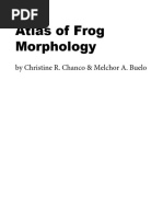 External Anatomy of the Frog | PDF | Vertebra | Peritoneum