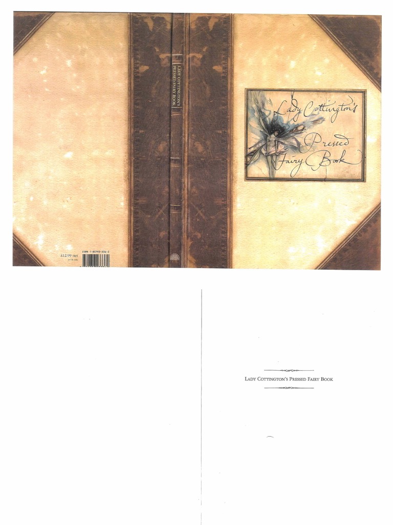 Lady Cot Ting Ton Pressed Fairy Book Brian Froud | PDF