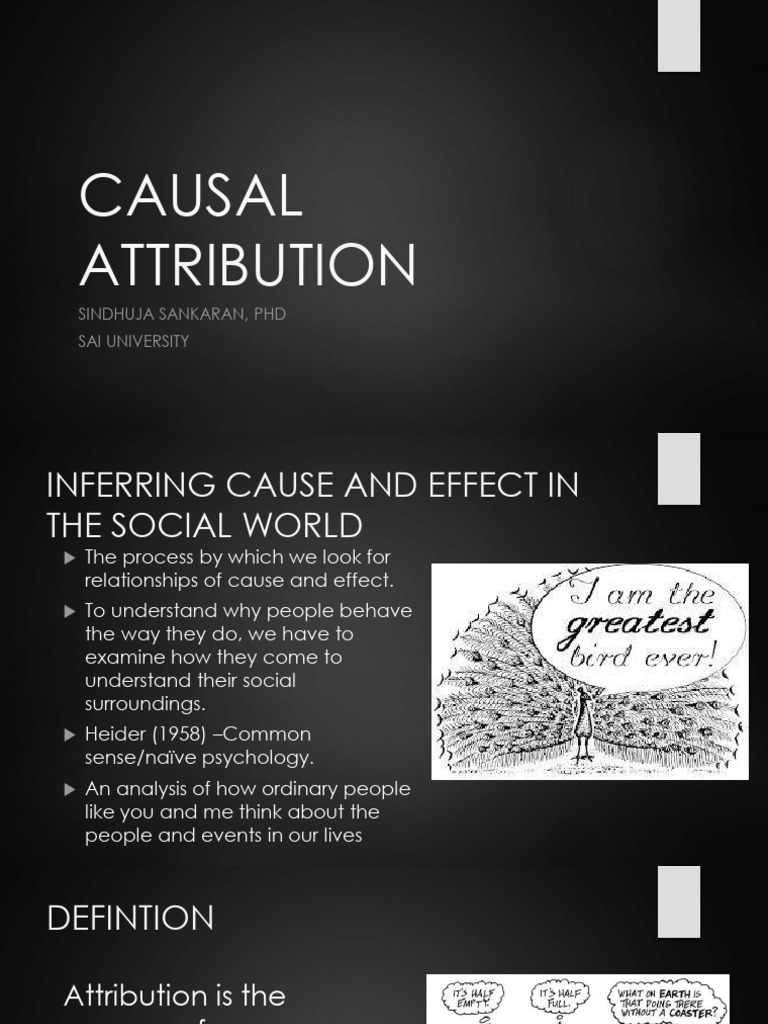 Understanding Causal Attribution Theory | PDF | Psychology ...