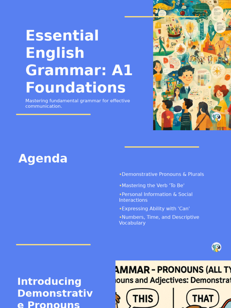 Essential English Grammar A1 Foundations | PDF | Plural | Grammatical ...