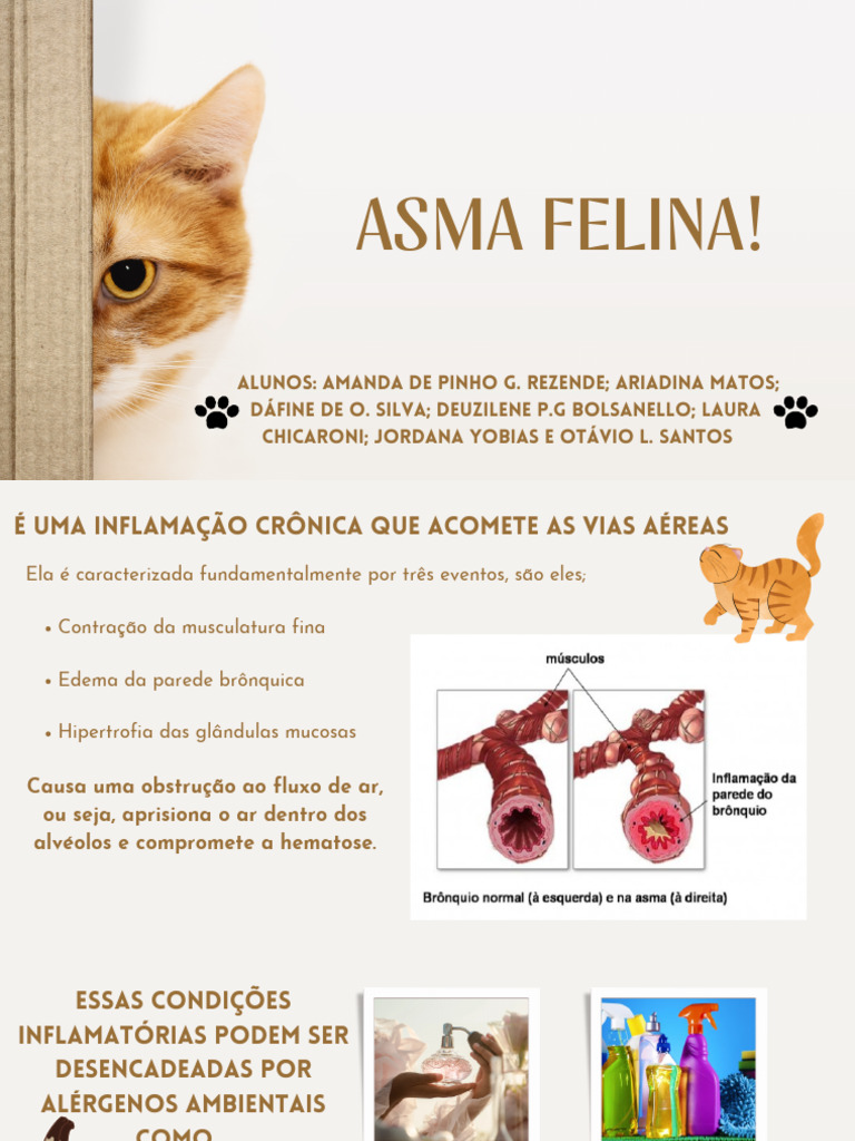 Asma Felina - 20240614 - 224623 - 0000 | PDF | Asma | Bronquite