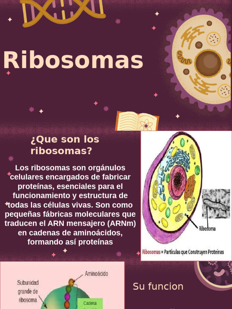 Anatomy and Physiology Major For College - Cell Biology - by Slidesgo ...