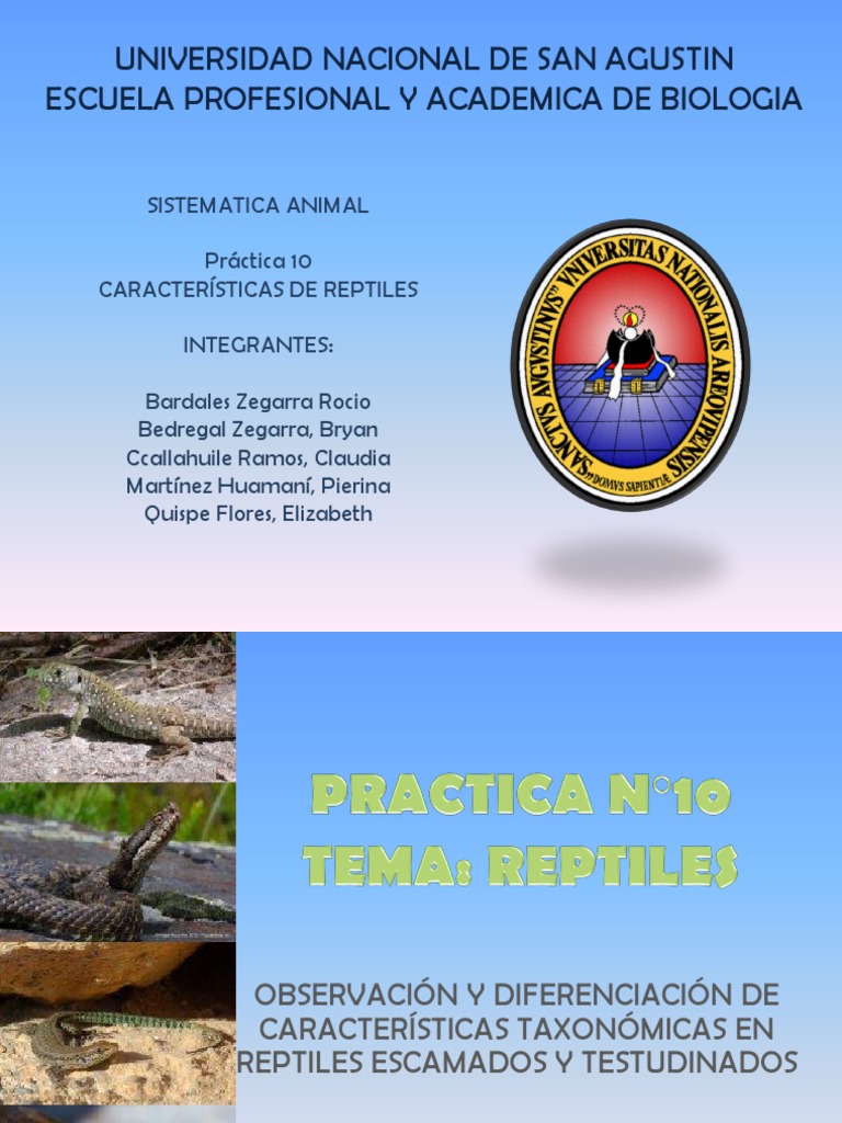 Practica N°10 Reptiles | PDF | Serpiente | Taxonomía (biología)