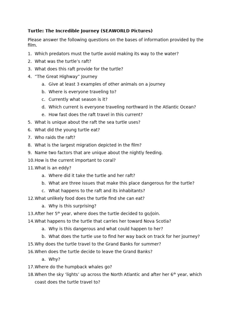 Sea Turtle Migration Journey Explained | PDF | Turtle