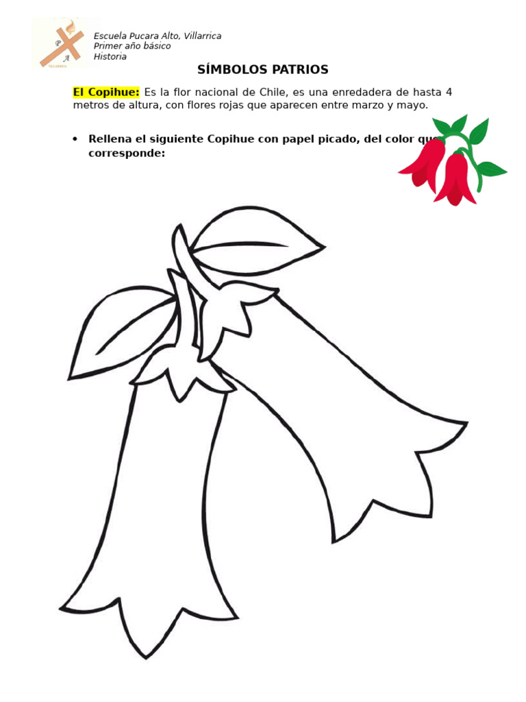 COPIHUE | PDF