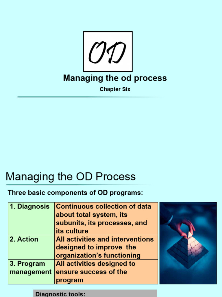Managing the Organizational Development Process | PDF | System ...