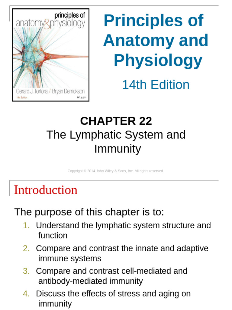 Chapter 22 - The Lymphatic System and Immunity - SCRIBD | PDF ...