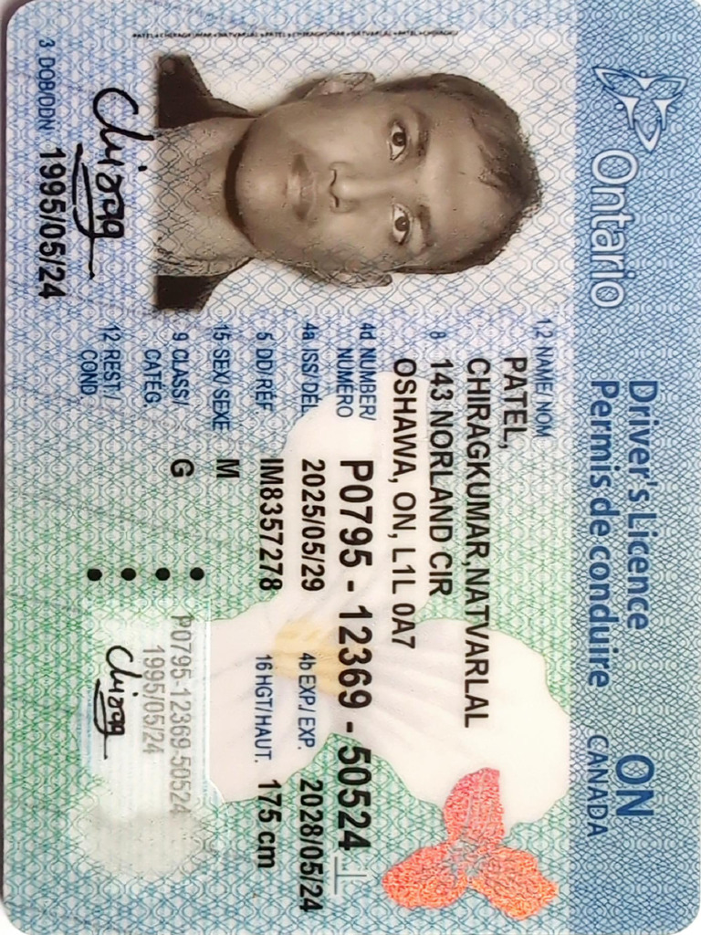 Chirag 143 Norland License | PDF