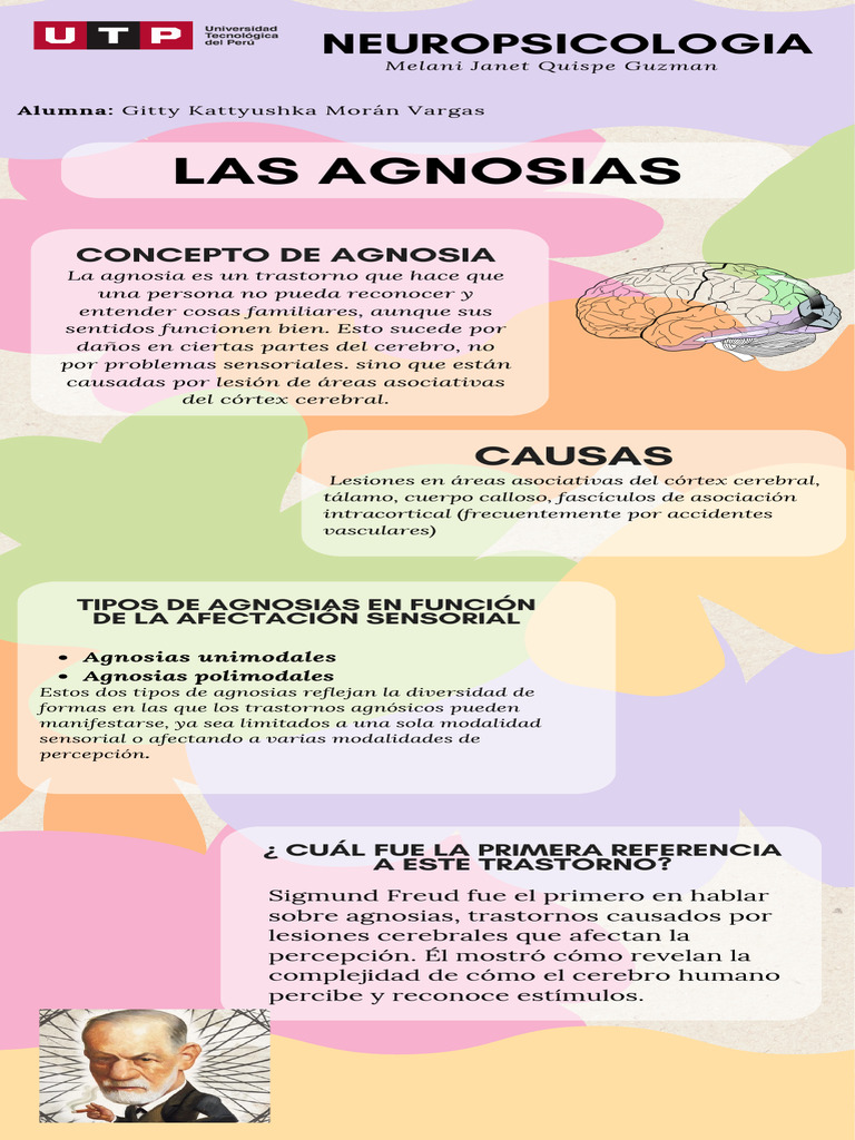 Agnosia: Tipos y Causas del Trastorno | PDF | Cerebro | Neurociencia