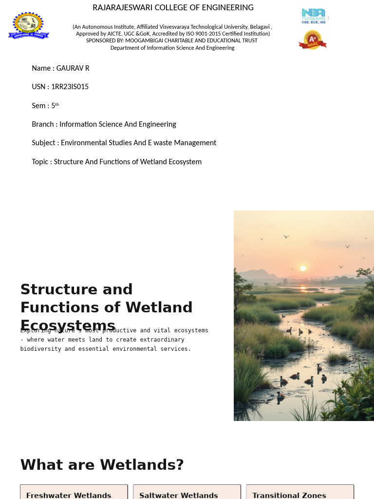 Wetland Ecosystem Structure & Functions | PDF | Wetland | Ecosystem