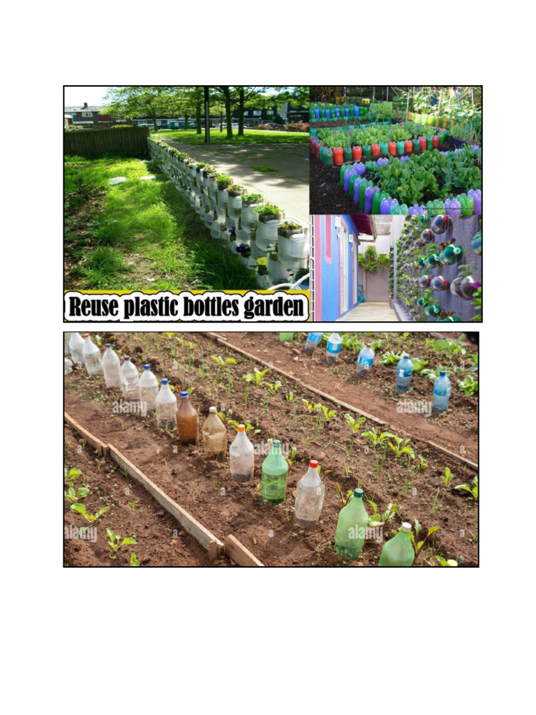 Garden Plot | PDF