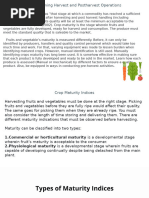 Understanding Crop Maturity Indices | PDF | Fruit | Postharvest