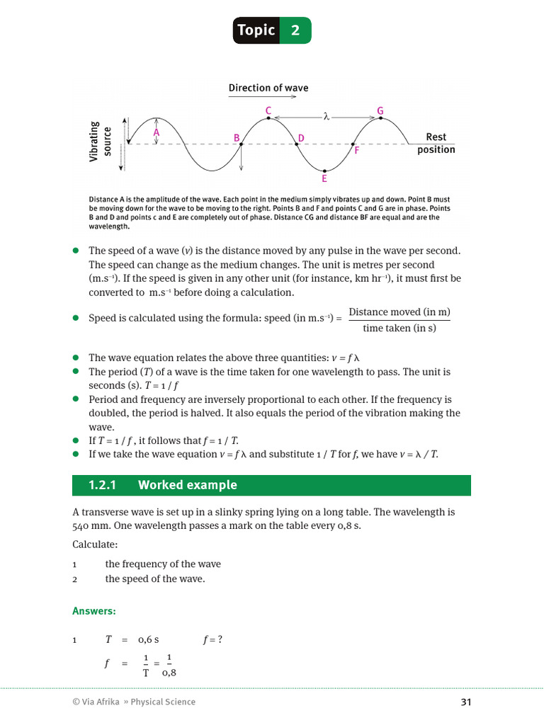 Waves and Light Grade 10 | PDF