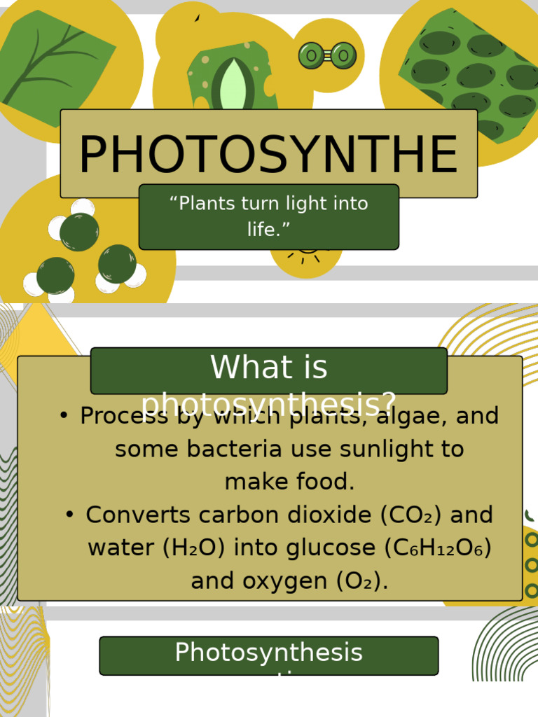 Photosynthesis Biology Presentation in A Green Yellow Bold Style | PDF ...