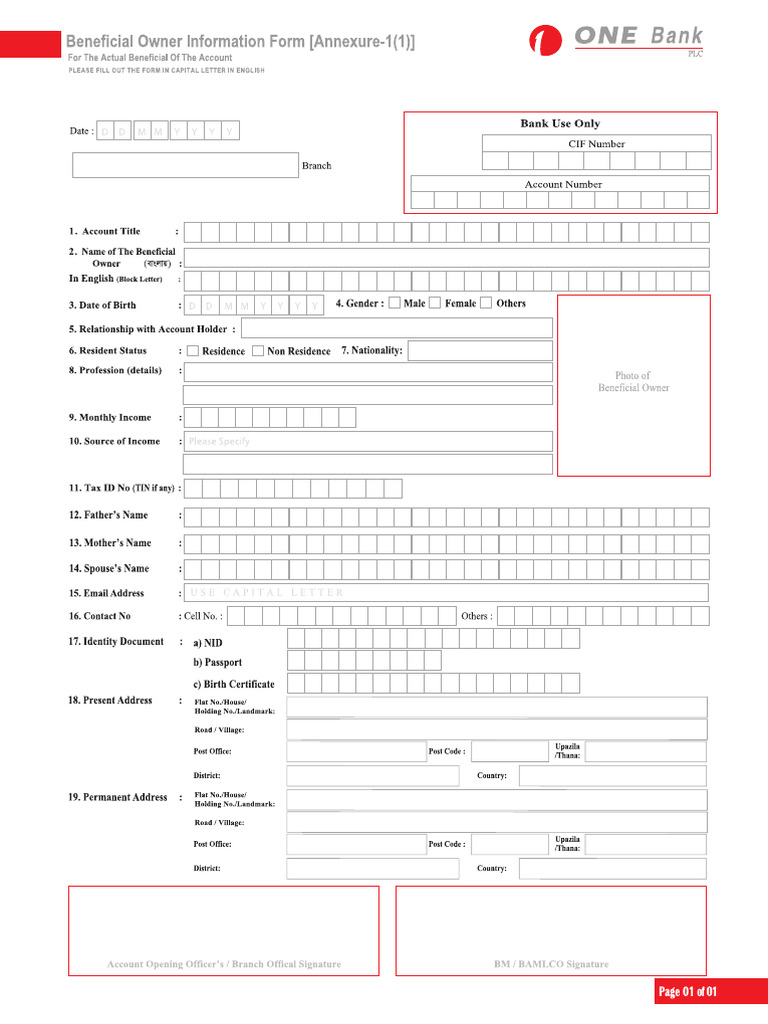 Beneficial Owner Information Form | PDF