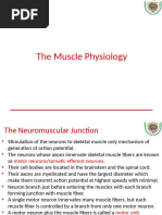Steps of the Cross Bridge Cycle | PDF | Muscle Contraction ...