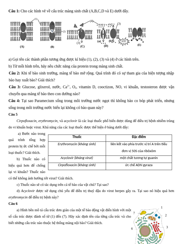 HSG 12 - HS | PDF