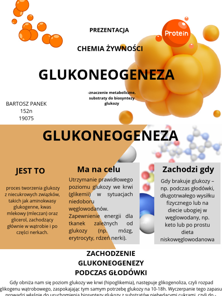 GLUKONEOGENEZA Prezentacja | PDF