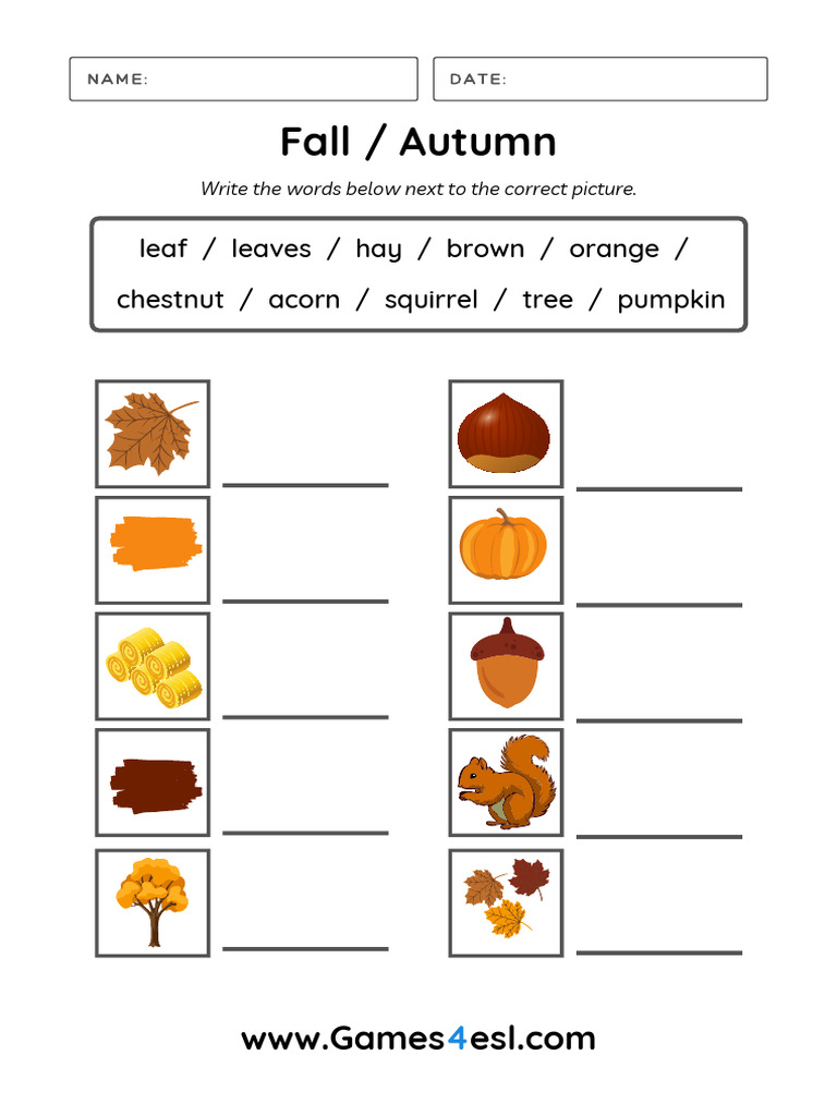 Fall Vocabulary Matching Activity | PDF