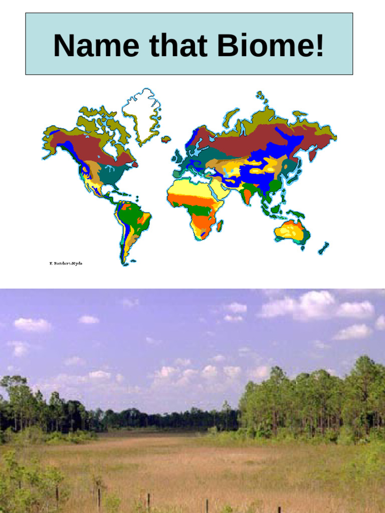 Name That Biome! Review PPT With Pics and Facts | PDF