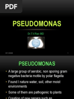 Biochemical Test and Identification of Pseudomonas Aeruginosa | PDF ...