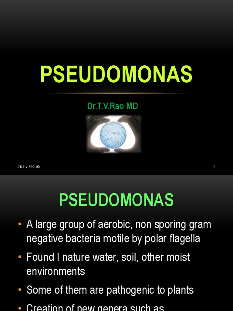 Pseudomonas Basics | Pseudomonas Aeruginosa | Pseudomonas