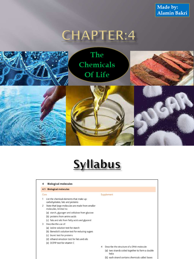 CHAPTER 4 Biological Molecules | PDF | Carbohydrates | Glucose
