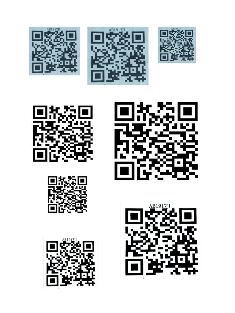 QR Kia Carnival | PDF