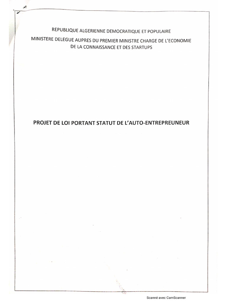 Projet de Loi Statut Auto Entrepreneur | PDF