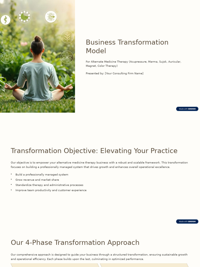 Business Transformation Model | PDF | Performance Indicator | Business