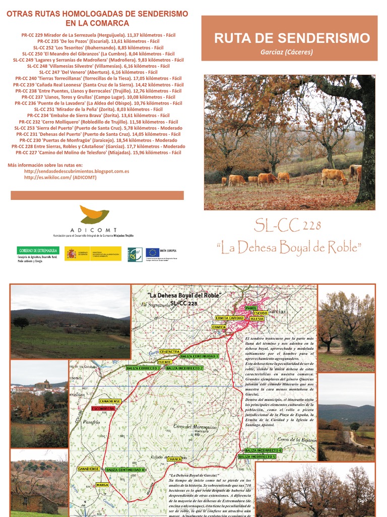 Dehesa Boyal | PDF | Etnobotánica | Arboles