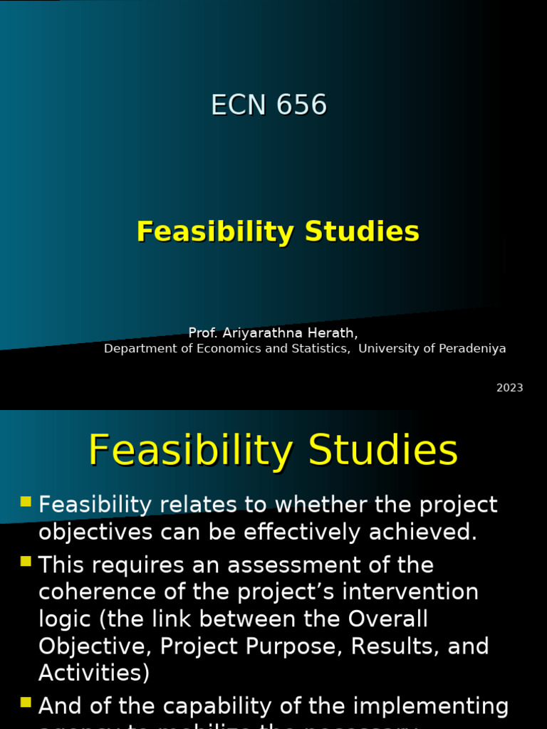 Comprehensive Feasibility Study Guide | PDF