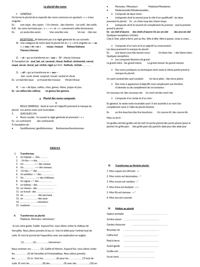 Le Pluriel Des Noms | PDF | Linguistique | Syntaxe