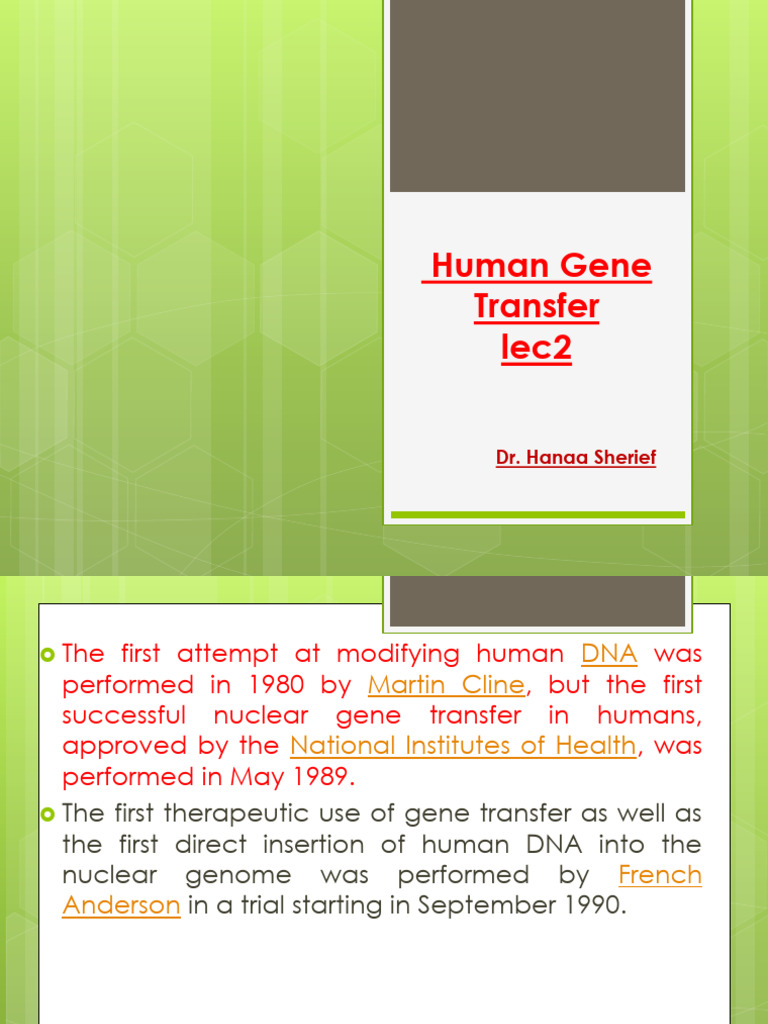 Gene Transfer in Human Lec3 | PDF | Gene Therapy | Viral Vector