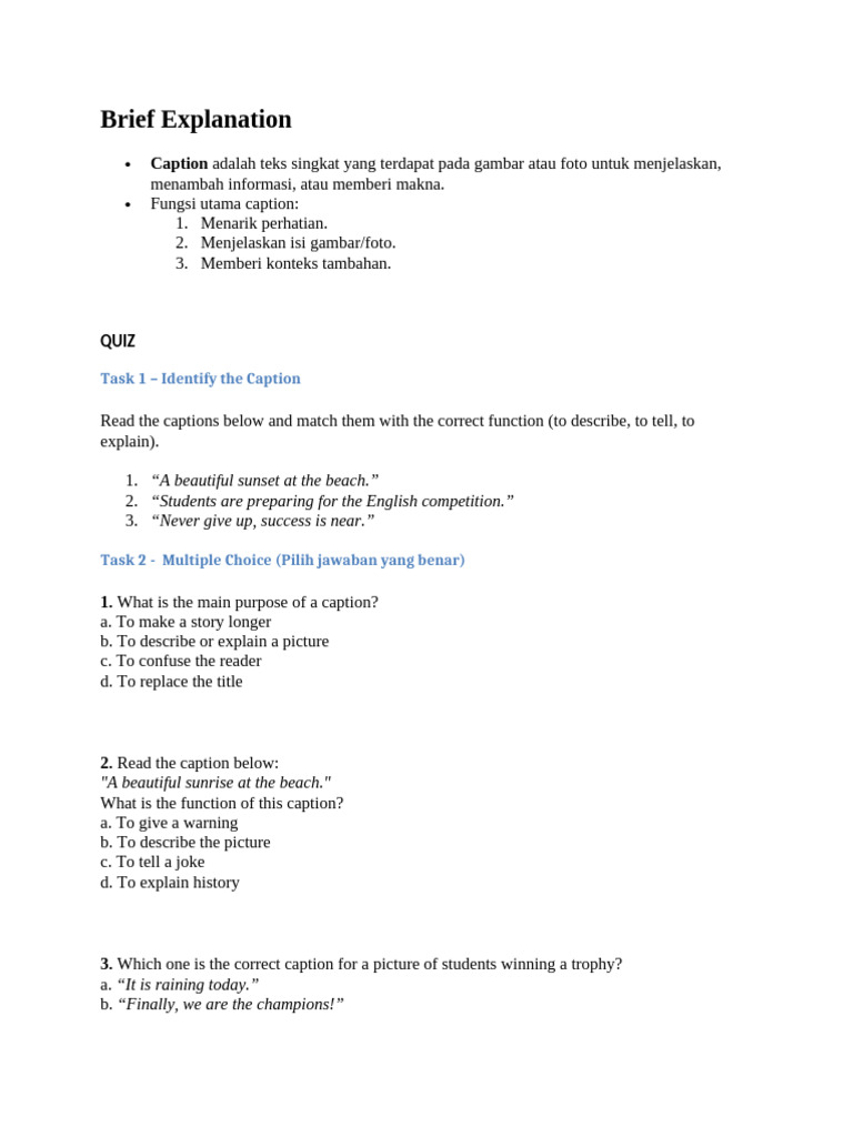 Understanding Captions: Functions & Quiz | PDF