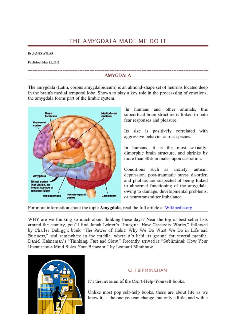 The Amygdala Made Me Do It | Applied Psychology | Emergence