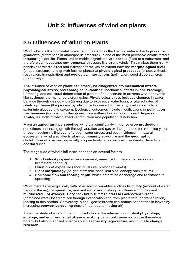 Influences of Wind On Plants (Environment) | PDF | Stoma | Photosynthesis