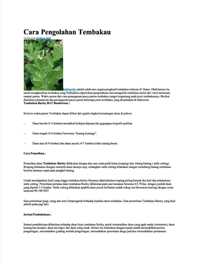 Cara Pengolahan Tembakau 1 - Compress | PDF