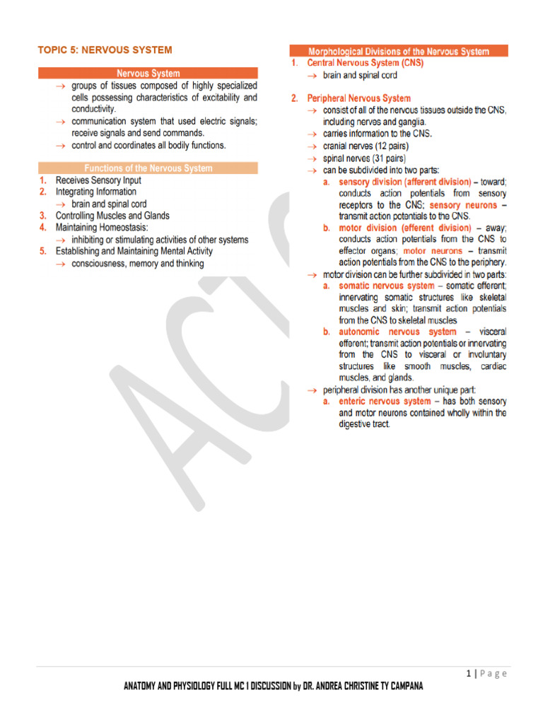 5 Nervous System | PDF