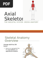 Unlabeled Axial Skeleton Overview | PDF | Skull | Skeletal System