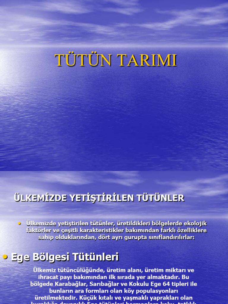 Tutun Tarimi | PDF
